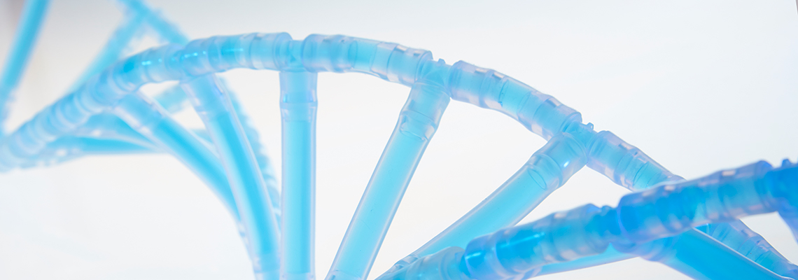 Custom Single-Use Assemblies